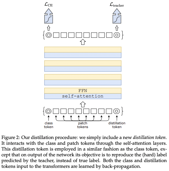 Training Data Efficient Image Transformers And Distillation Through Attention Nams Blog